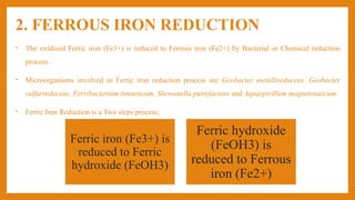 Bio geo chemical cycle...(Iron cycle).pptx