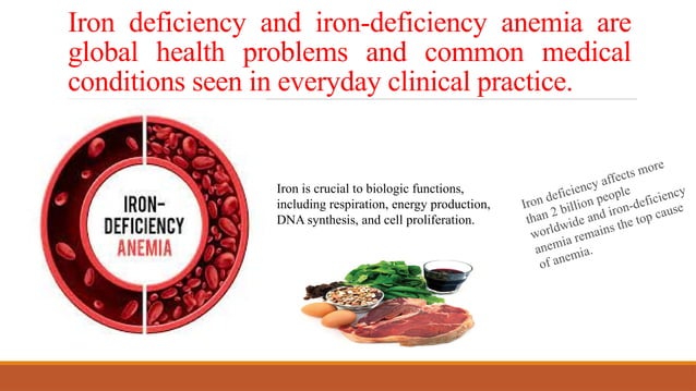 Iron Deficiency anemia hematology mbbs.pptx