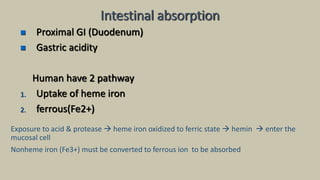 Iron defficiency anemia | PPTX
