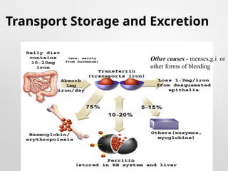 Iron Deficiency Anemia in children: The basic facts | PPT | Blood ...