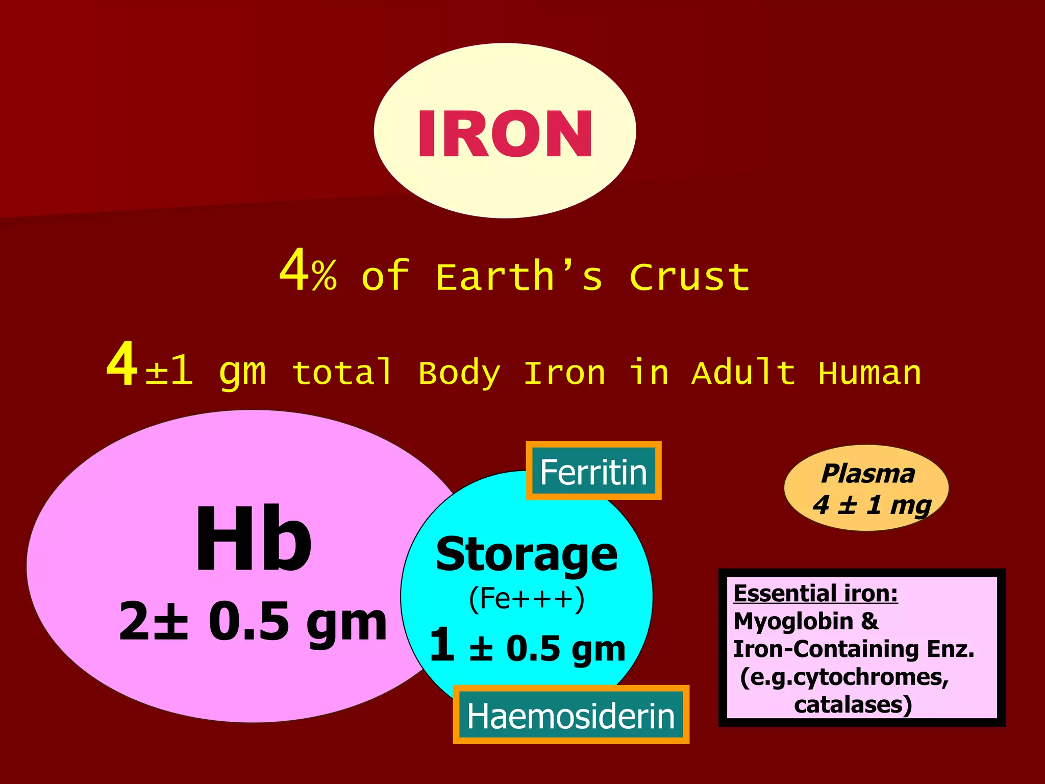 Iron deficiency anemia | PPT | Blood Disorders | Diseases and Conditions