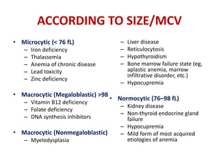 Iron deficiency anemia | PPTX