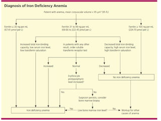 Iron deficiency anemia | PPTX