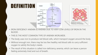 Iron deficiency anemia | PPTX