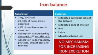 Iron deficiency anemia | PPTX