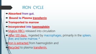 Iron deficiency anemia | PPT