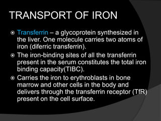 IRON DEFICIENCY ANEMIA .pptx | Digestive Disorders | Diseases and ...