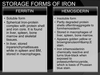 IRON DEFICIENCY ANEMIA .pptx