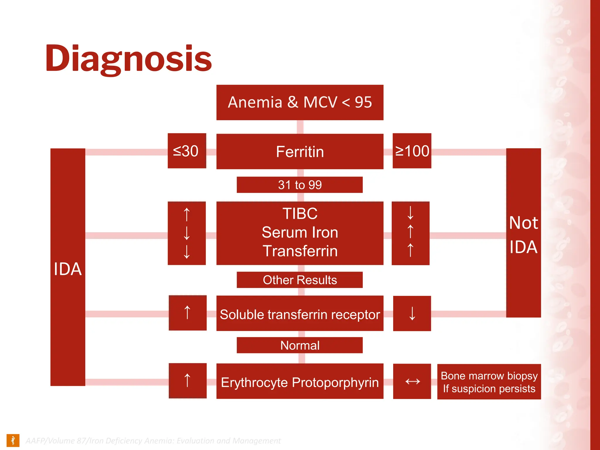 Iron deficiency anemia (IDA) Diagnosis & Management | PPT
