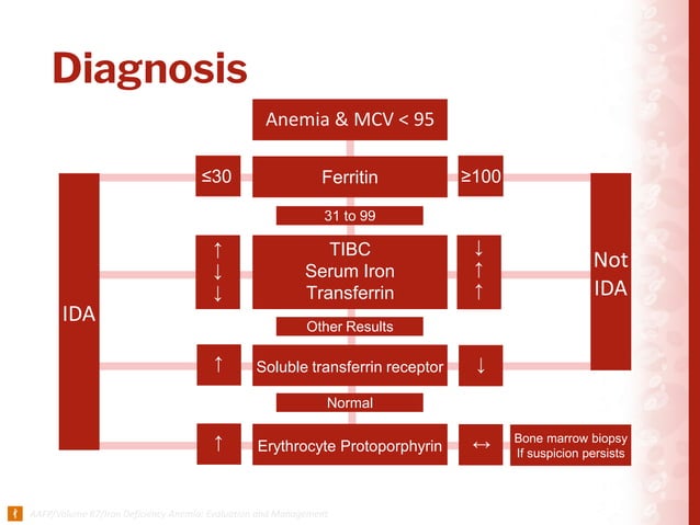 Iron deficiency anemia (IDA) Diagnosis & Management | PPT