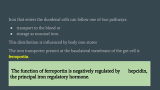 Iron Deficiency Anemia - Etiology , Clinical Features and Management.pdf
