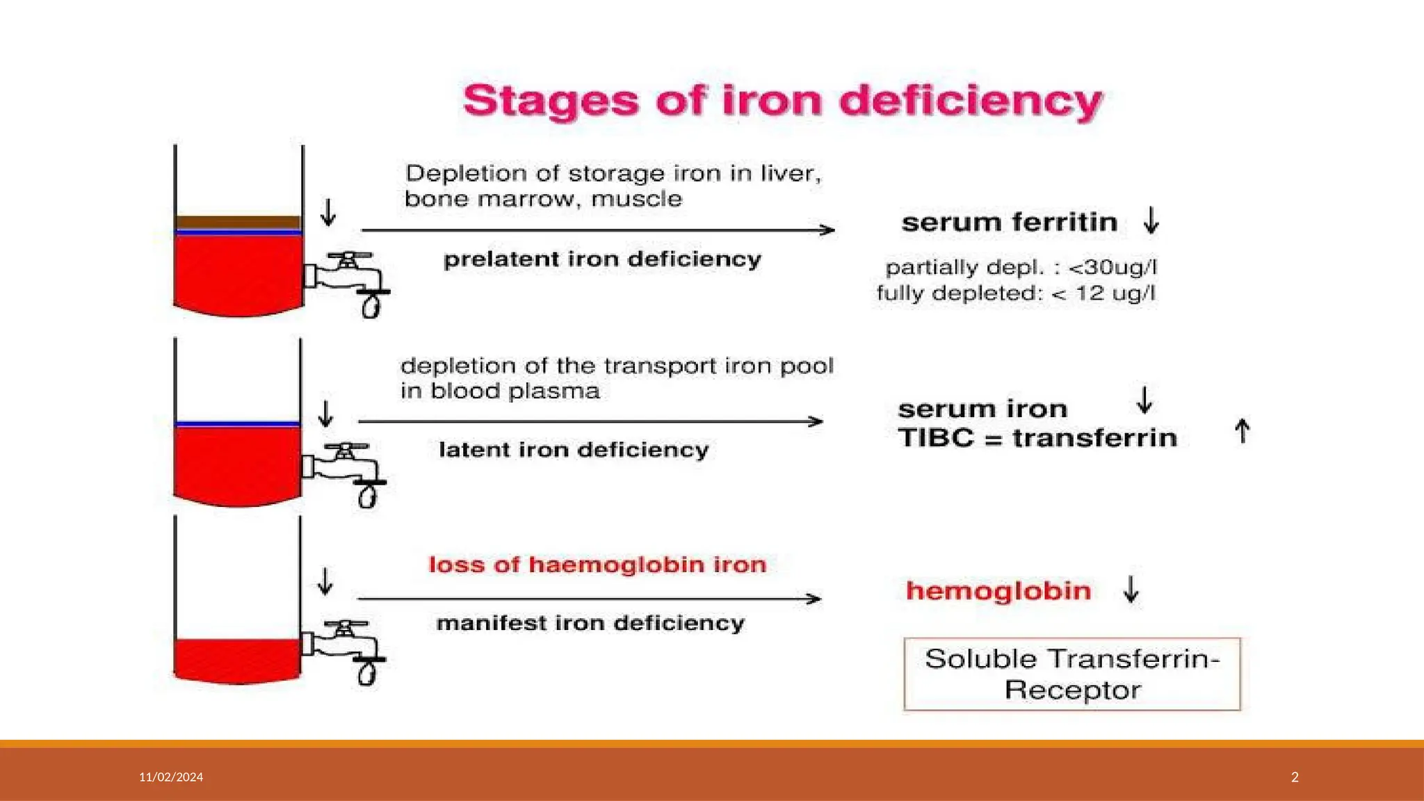 Iron deficiency Anemia.Iron-deficiency anemia is anemia caused by a ...