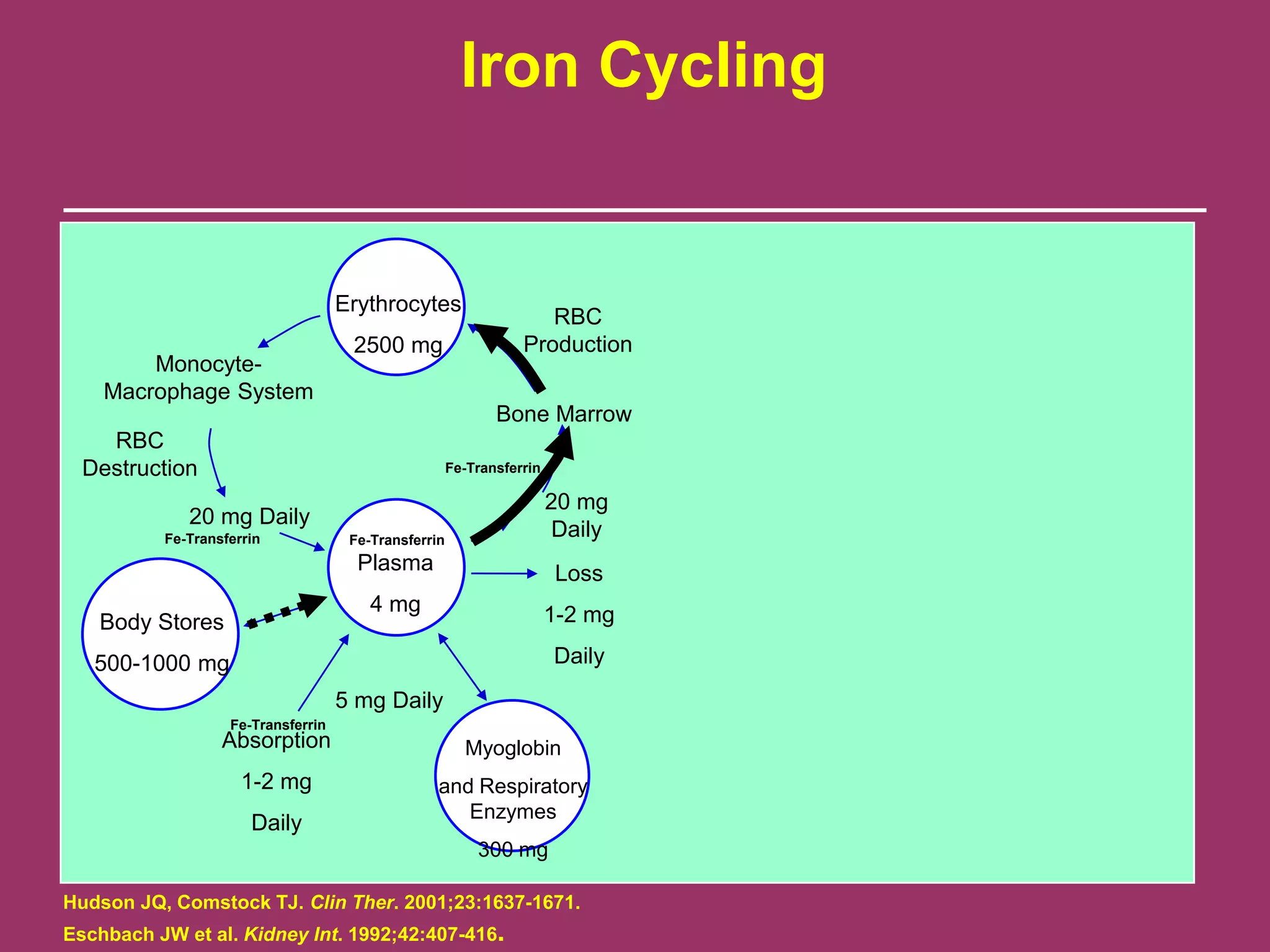 Iron deficiency anemia medicaldump.com