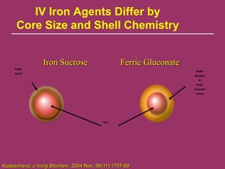Iron deficiency anemia medicaldump.com