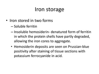 Iron deficiency anemia pathogenesis and lab diagnosis | PPTX
