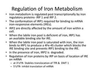 Iron deficiency anemia pathogenesis and lab diagnosis | PPTX