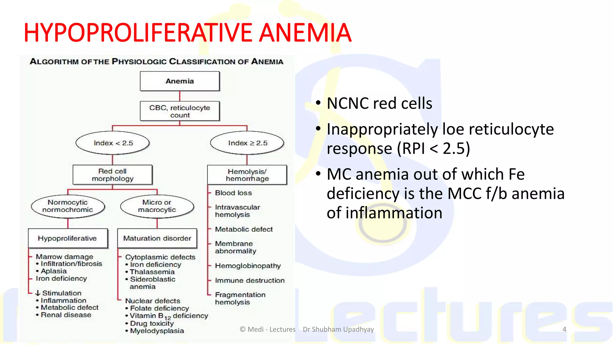 IRON DEFICIENCY ANEMIA_61df3670-3878-4761-a18f-56d3850305c4.pdf