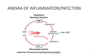IRON DEFICIENCY ANEMIA_61df3670-3878-4761-a18f-56d3850305c4.pdf