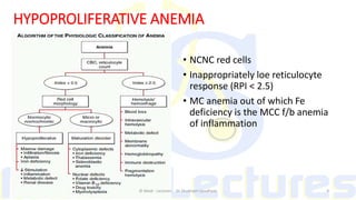 IRON DEFICIENCY ANEMIA_61df3670-3878-4761-a18f-56d3850305c4.pdf