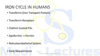 IRON DEFICIENCY ANEMIA_61df3670-3878-4761-a18f-56d3850305c4.pdf