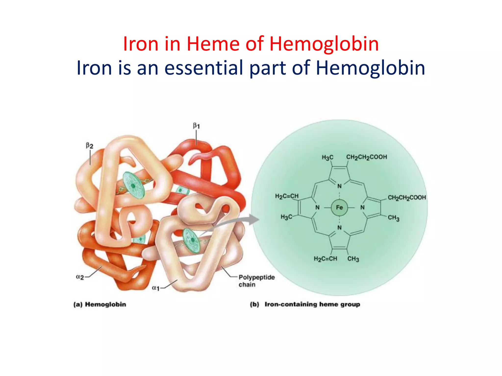 Iron deficiency anemia in children 2021 | PDF | Blood Disorders ...
