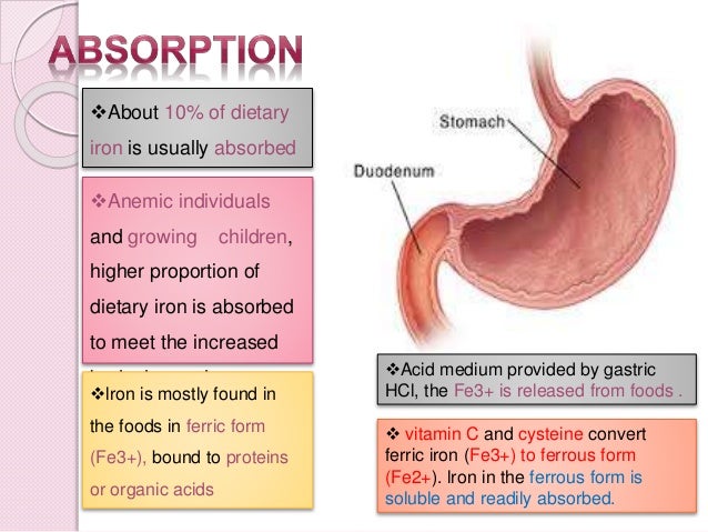 iron and its clinical importance for medical students