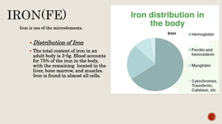 Iron (Fe).pptx