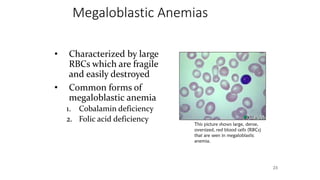 Iron (Fe) as a Mineral and Anemia overview.pdf