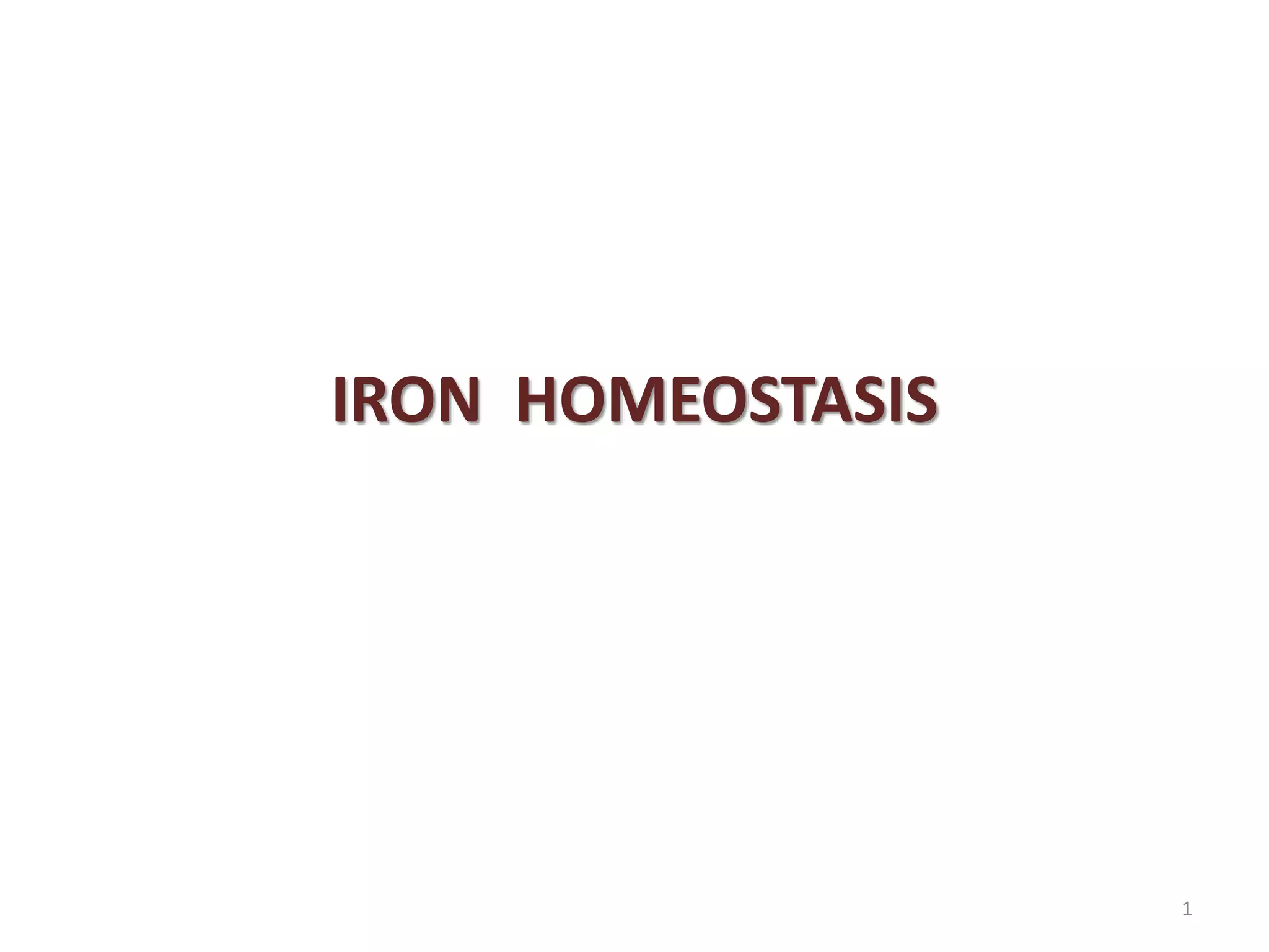 Iron Homeostasis | PPTX