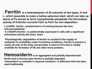 Iron Homeostasis for MBBS and MD presentation Purpose | PPTX