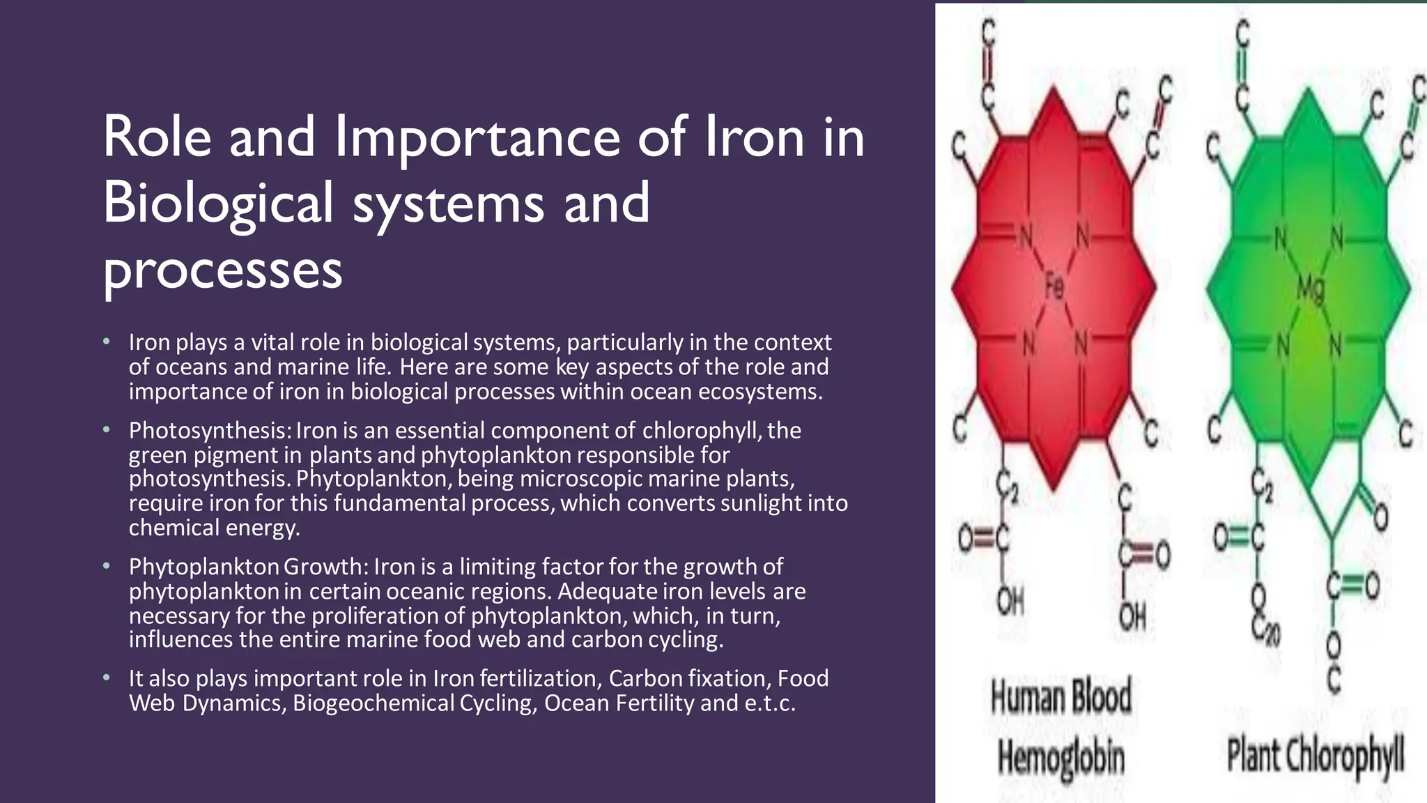 Iron hypothesis and iron limitation^1.pdf