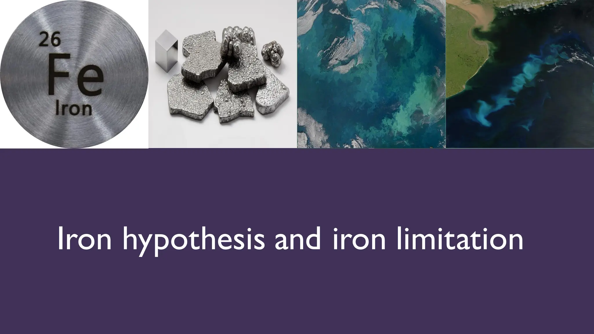 Iron hypothesis and iron limitation^1.pdf
