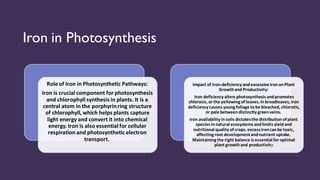 Iron hypothesis and iron limitation^1.pdf