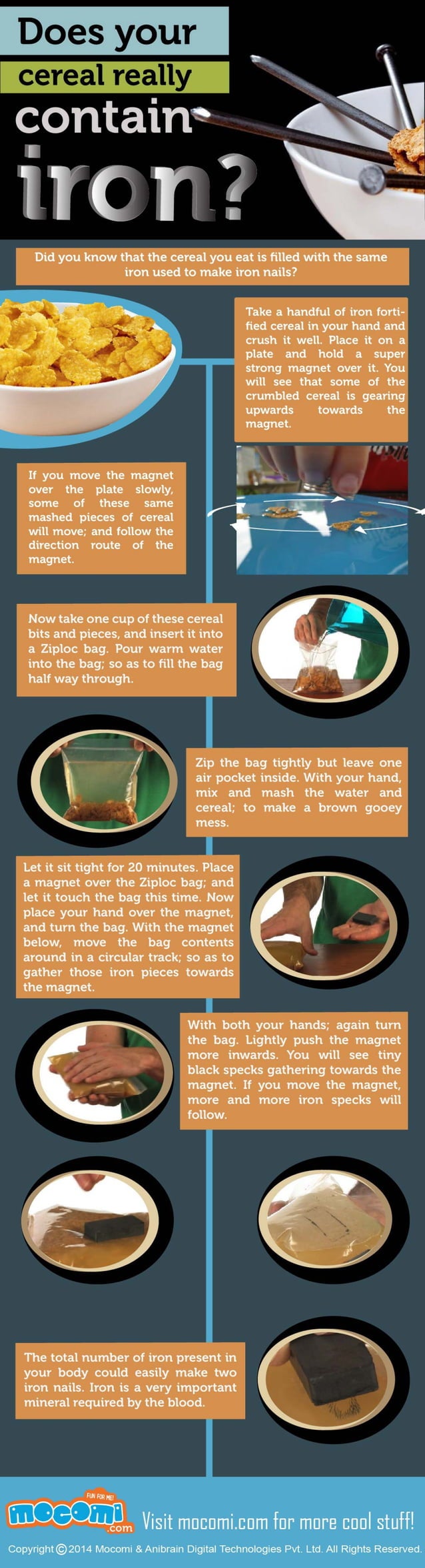 Iron in Cereal Experiments – Mocomi Kids | PDF