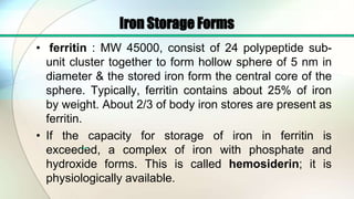 Iron kinetics part 1 | PPTX