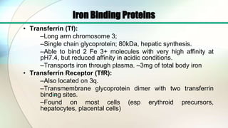 Iron kinetics part 1 | PPTX