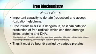 Iron kinetics part 1 | PPTX