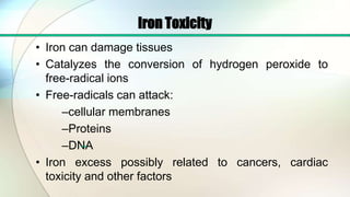 Iron kinetics part 1 | PPTX