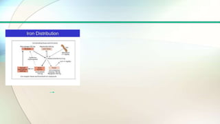 Iron kinetics part 1 | PPTX