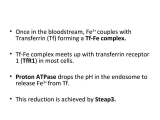 Iron metabolism | PPT