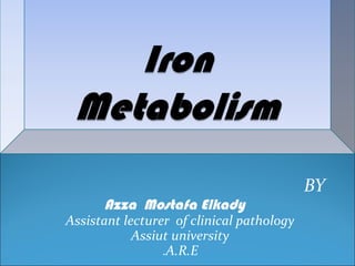 Iron Metabolism | PPT