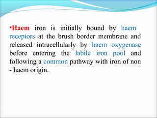 Iron Metabolism | PPT