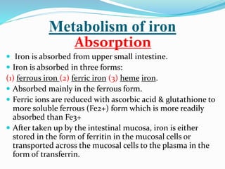 Iron metabolism | PPT