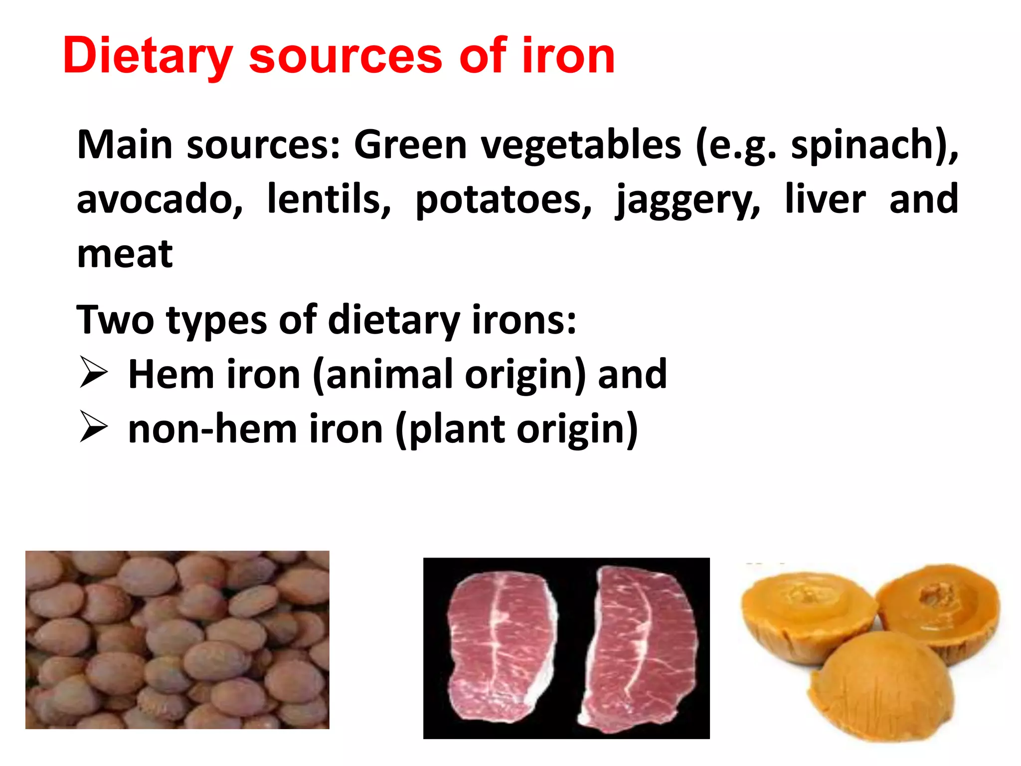 iron metabolism.pptx
