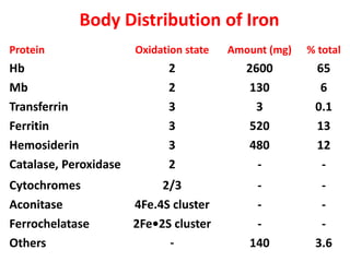 iron metabolism.pptx