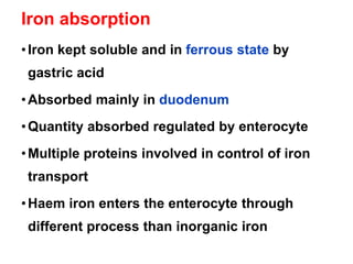 iron metabolism.pptx