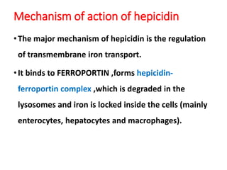 iron metabolism.pptx
