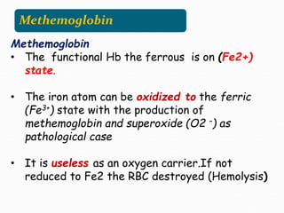 Iron Metabolism .ppt | Blood Disorders | Diseases and Conditions