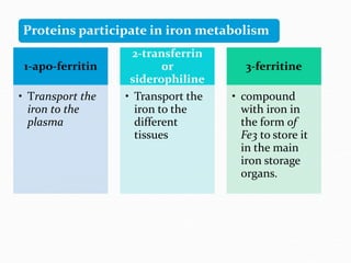 Iron Metabolism .ppt | Blood Disorders | Diseases and Conditions