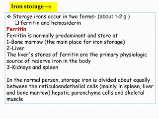 Iron Metabolism .ppt | Blood Disorders | Diseases and Conditions